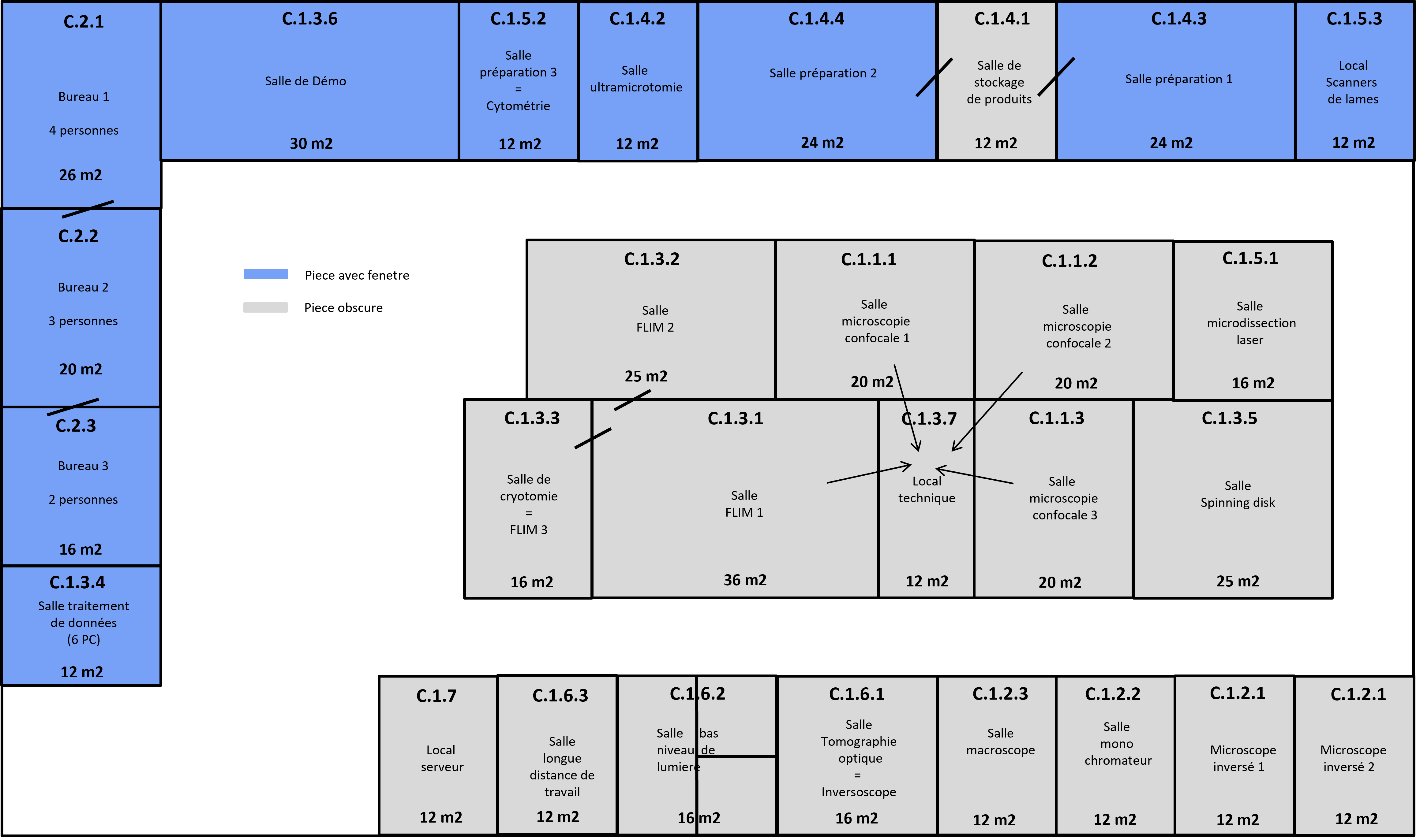 Cécile Pouzet : Genèse et aboutissement de la plateforme d’imagerie au ...